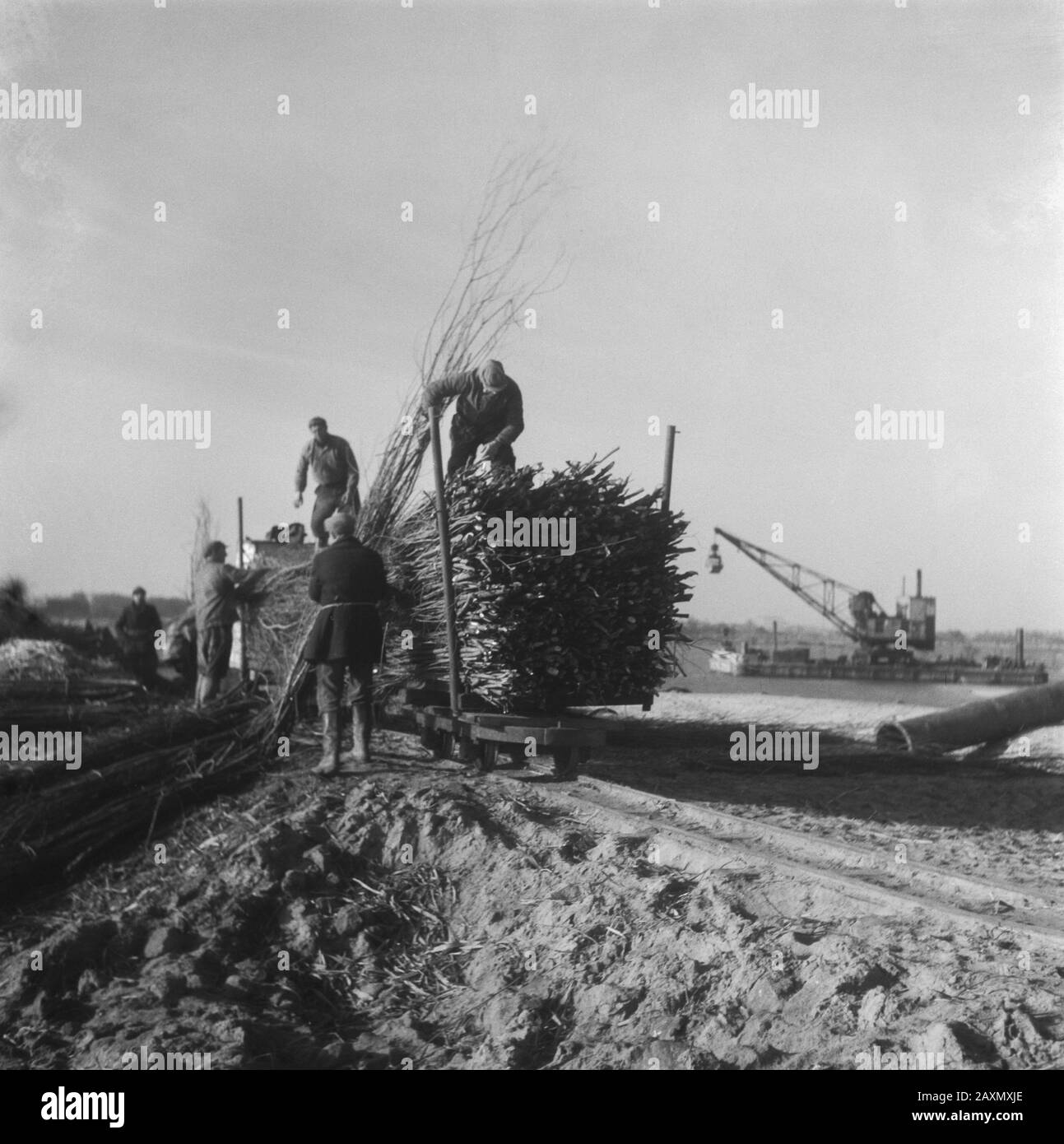 Land report hi-res stock photography and images - Alamy