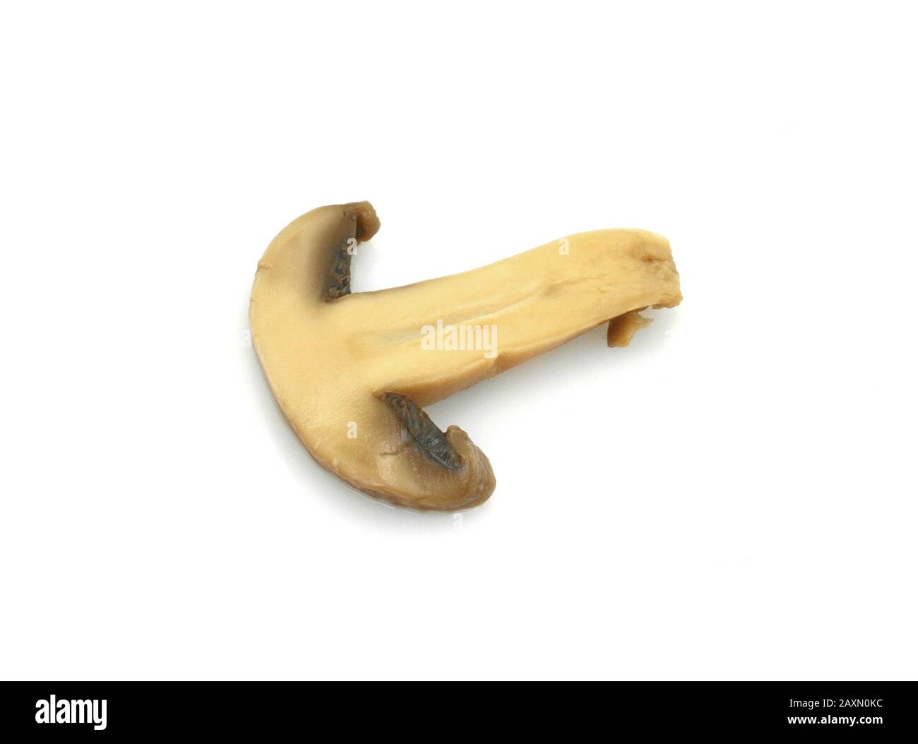 canned mushroom pieces on a white background Stock Photo - Alamy