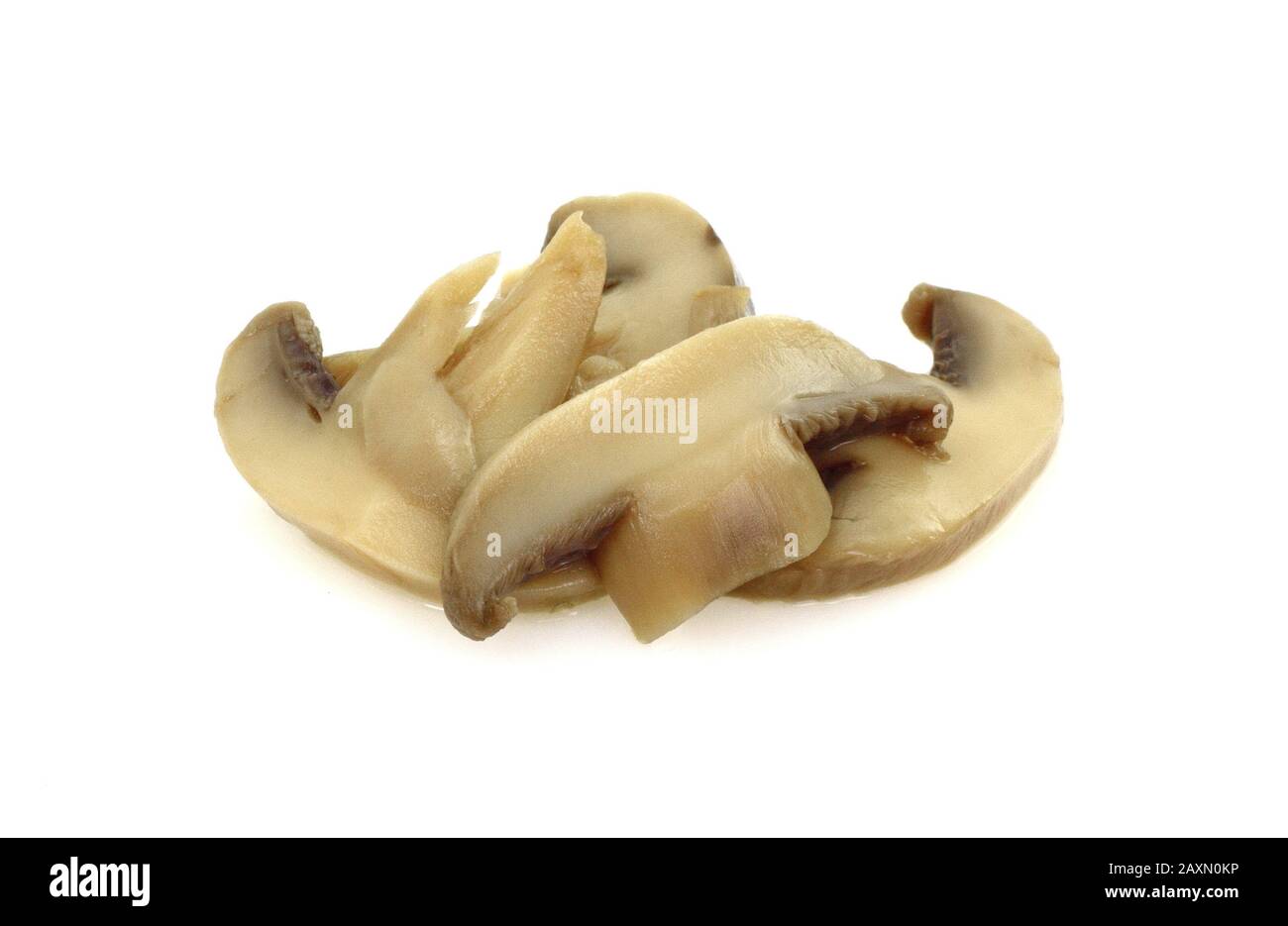 canned mushroom pieces on a white background Stock Photo - Alamy