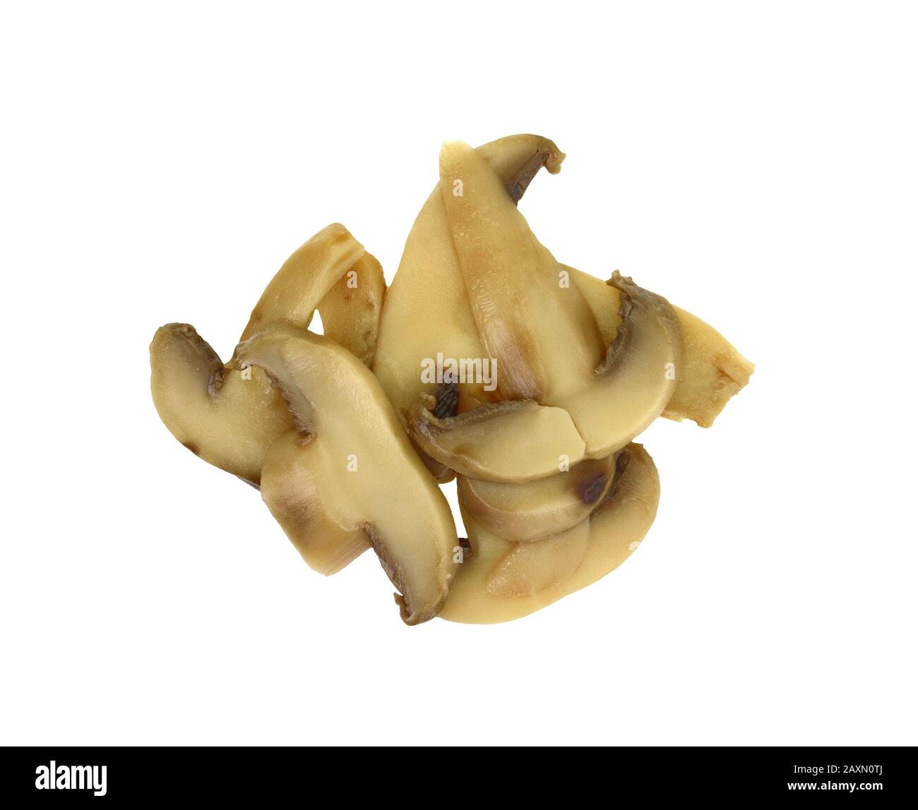 canned mushroom pieces on a white background Stock Photo - Alamy