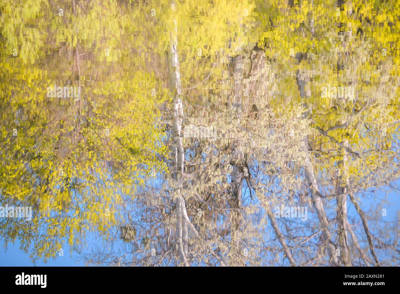 Natural sparkling spring water hi-res stock photography and images - Alamy