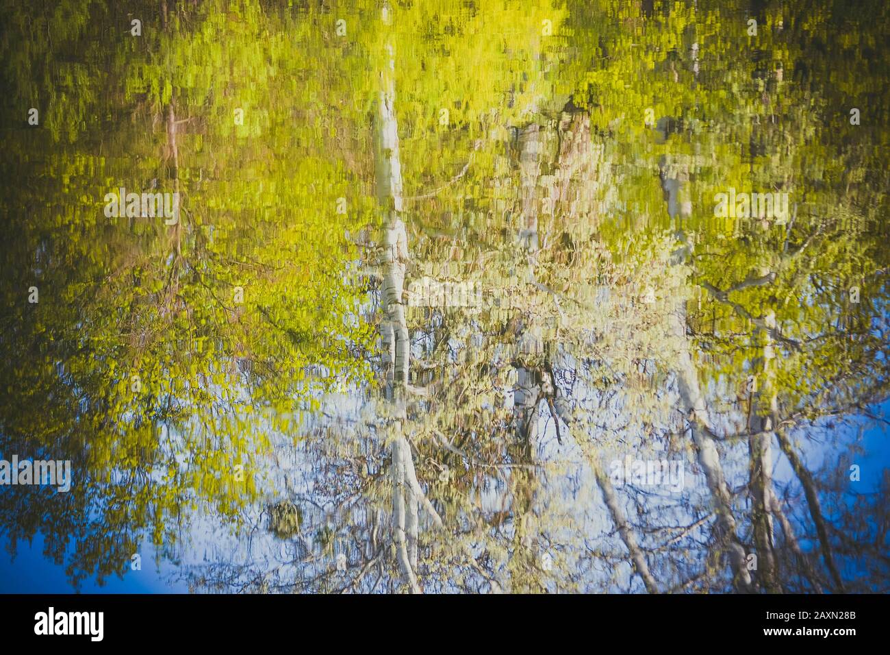 Toned reflection hi-res stock photography and images - Alamy