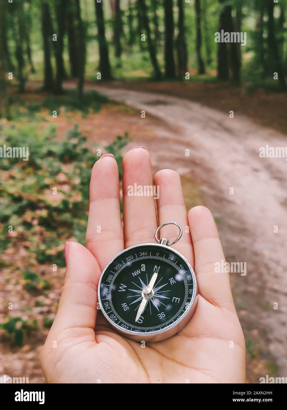 woman hand holding compass in forest Stock Photo - Alamy