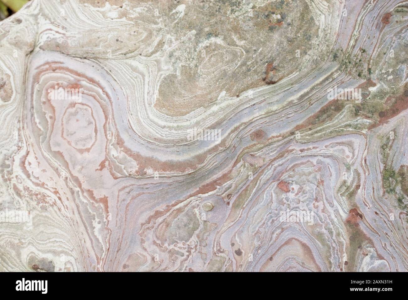 Camadas de rocha sedimentar; clástica; sedimentação siluriana-devoniana ...