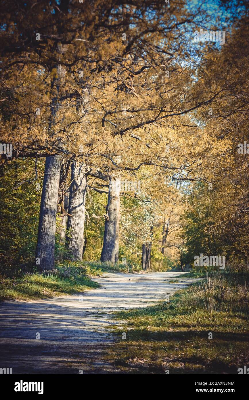 Old track road hi-res stock photography and images - Alamy