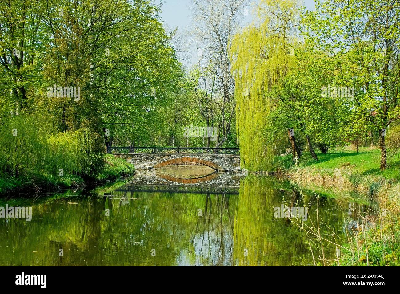 low stone bridge over a pond of water among the trees with bright green ...