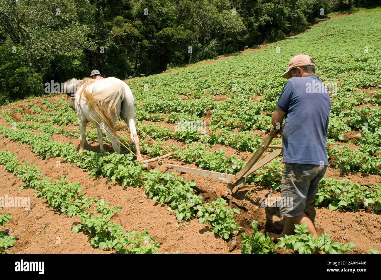 Field being plowed hi-res stock photography and images - Alamy