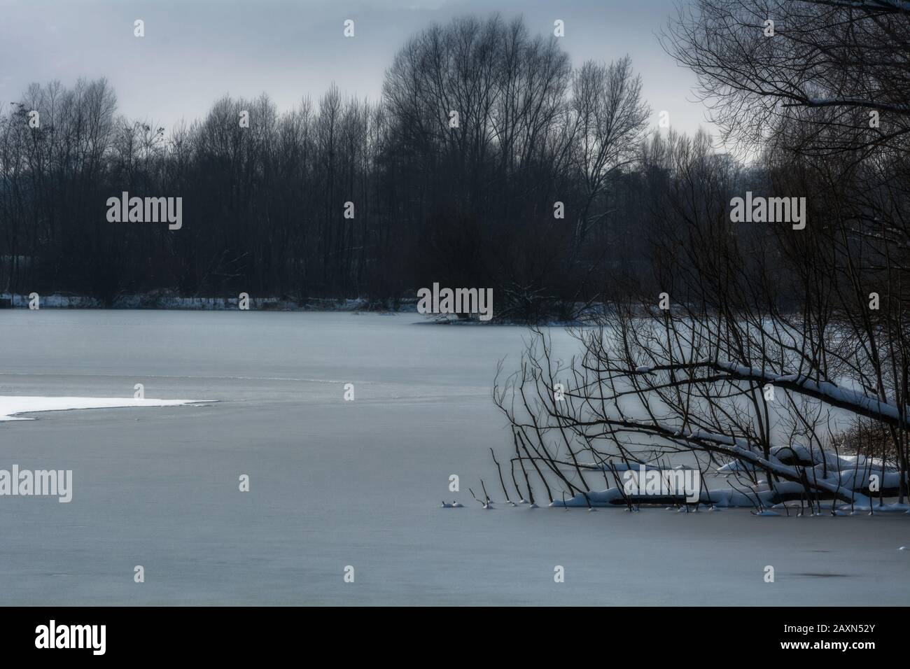 Tree branches in pond forest hi-res stock photography and images - Alamy