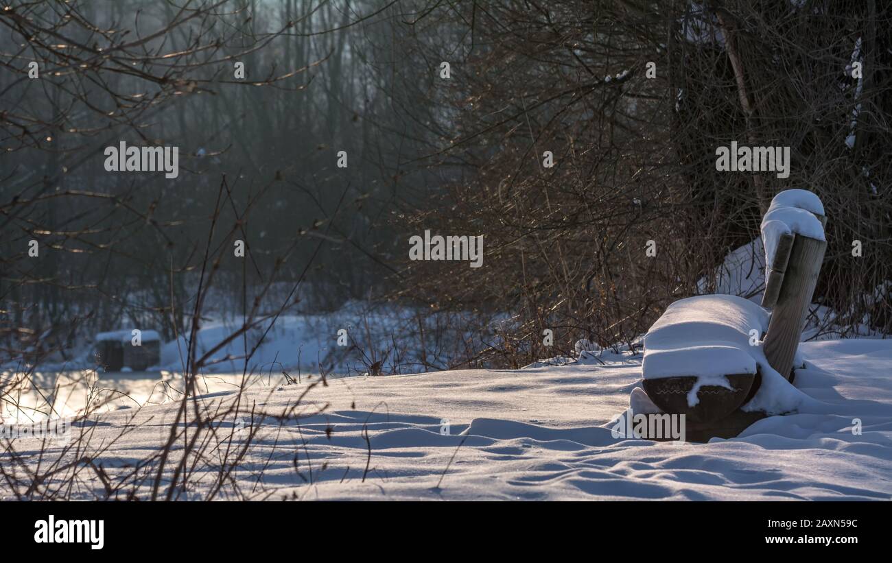 Log bench hi-res stock photography and images - Alamy