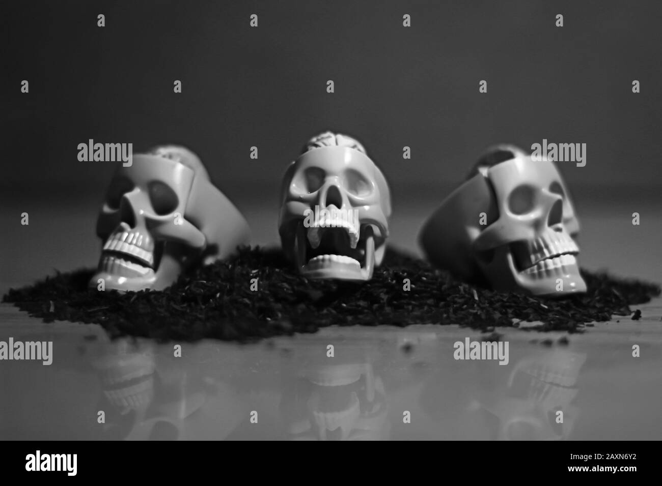 Bone white color Black and White Stock Photos & Images - Alamy