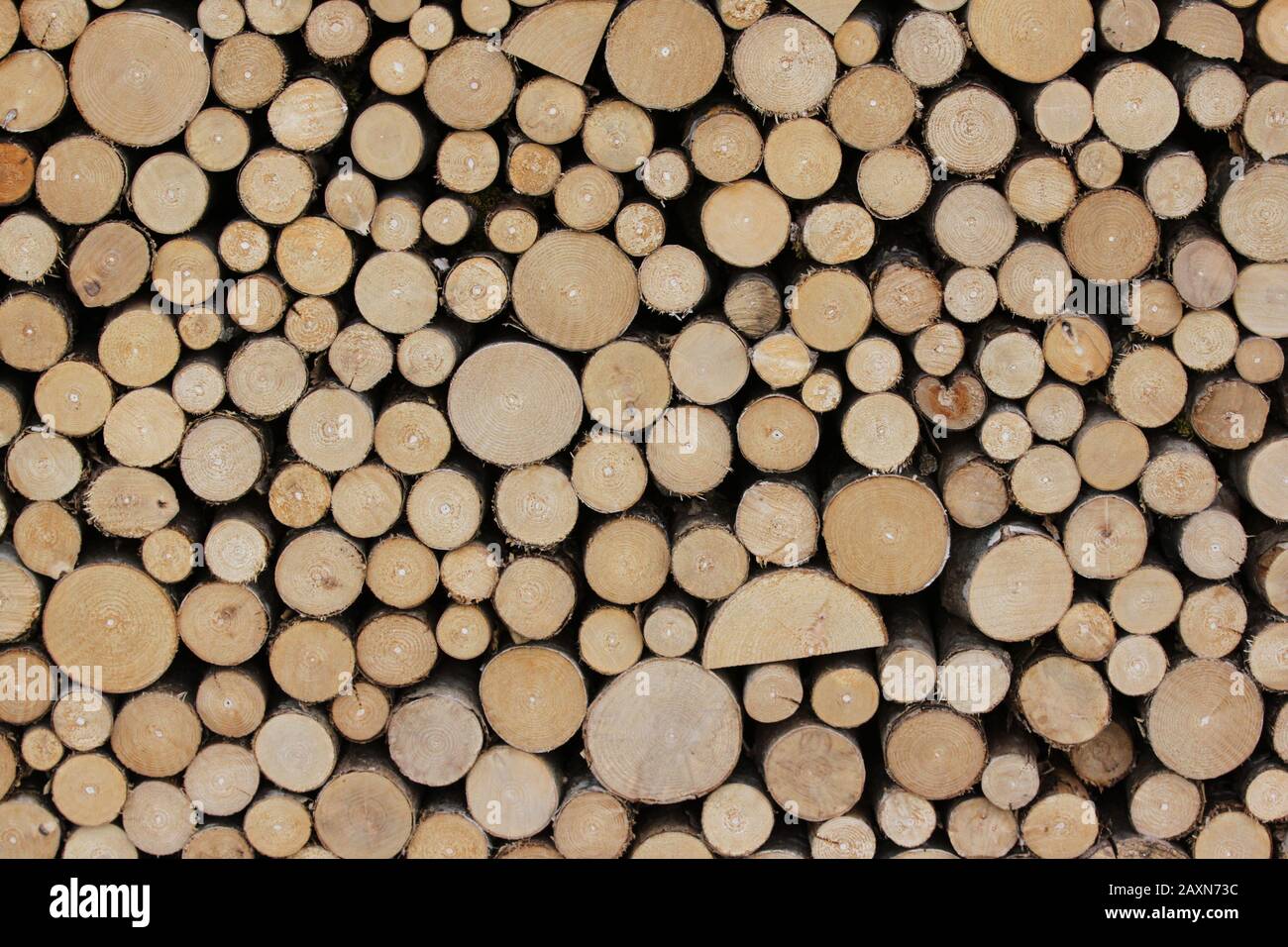 Perfectly stacked wood Stock Photo - Alamy
