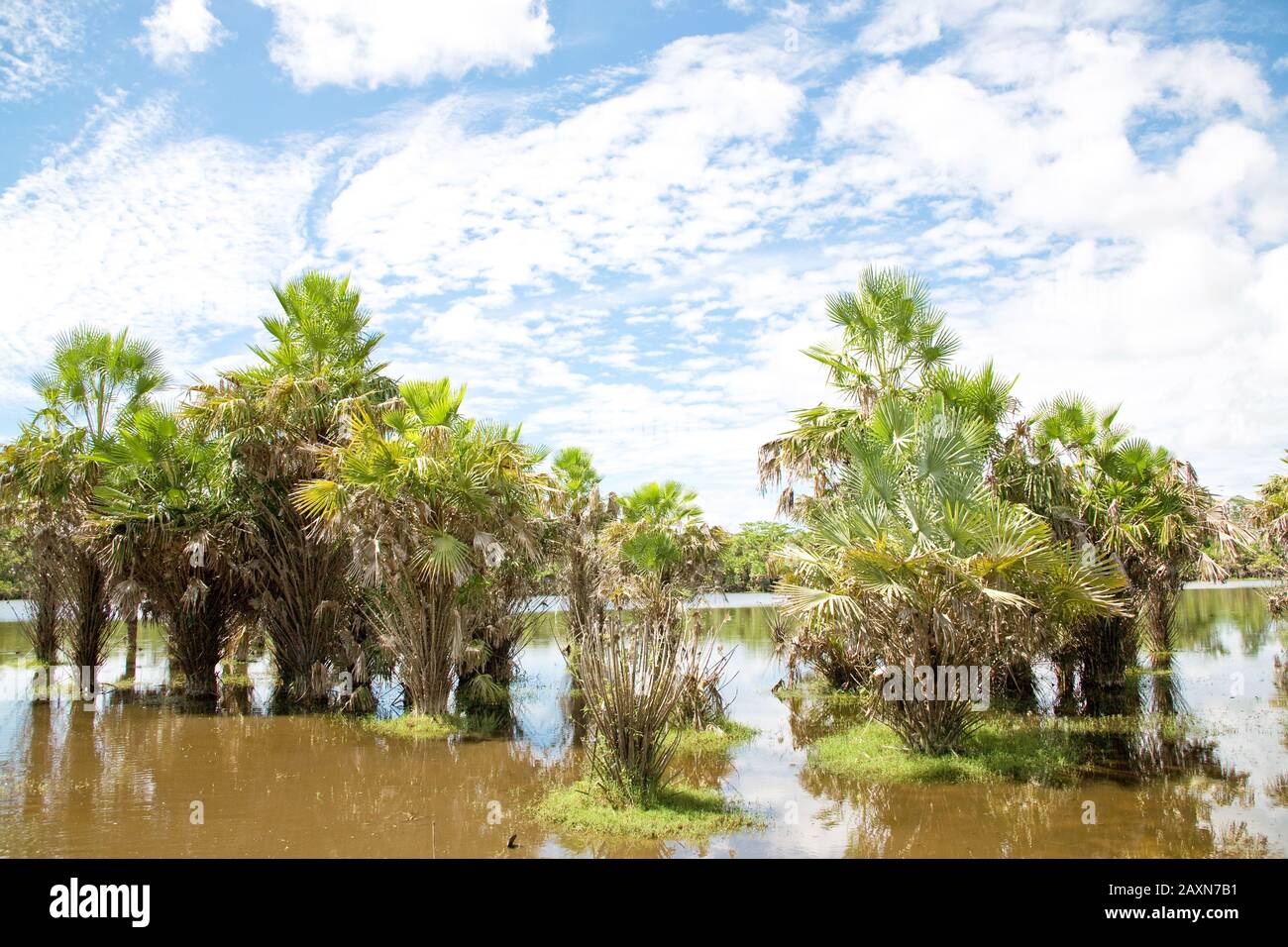 Salt ponds brazil hi-res stock photography and images - Alamy