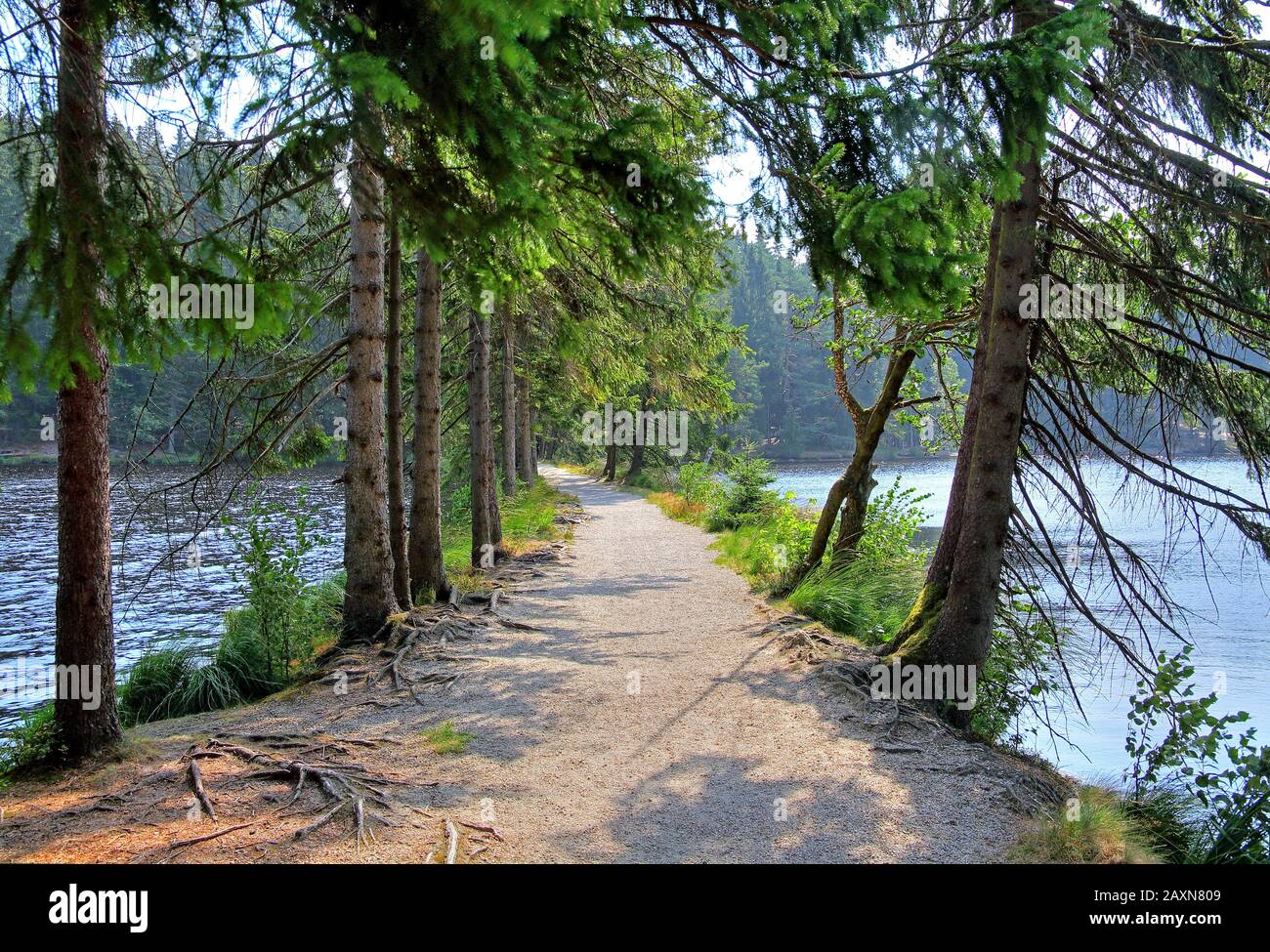 Causeway about the Fichtelsee, Fichtelberg, Fichtelgebirge, Upper ...