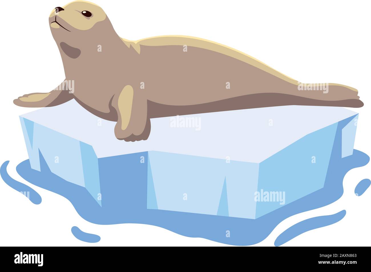 Seal under sea ice Stock Vector Images - Alamy