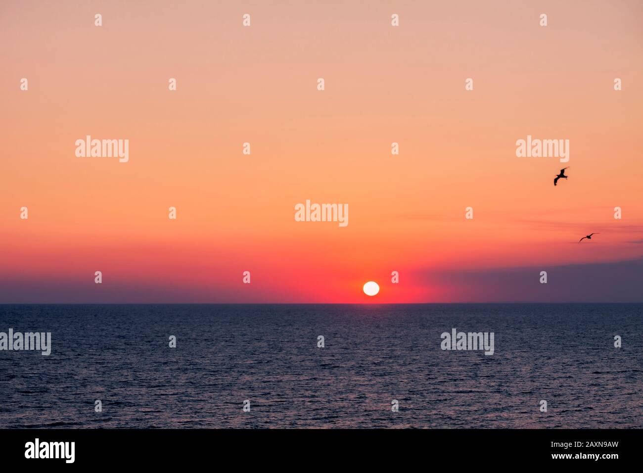 The sunset of the bright summer sun in the sea Stock Photo - Alamy