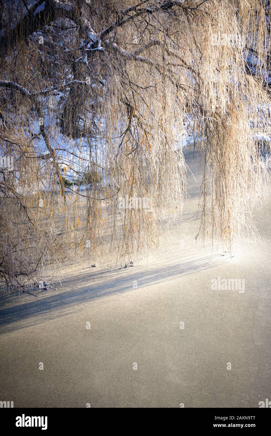 Growingcoast hi-res stock photography and images - Alamy