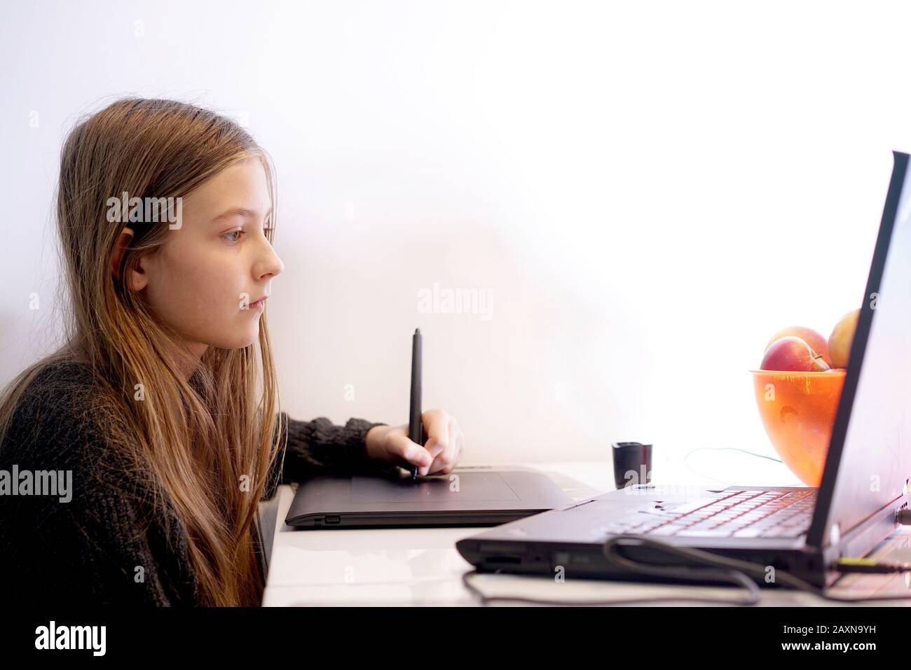 girl at home learns to draw on the laptop using a tablet and pen Stock ...