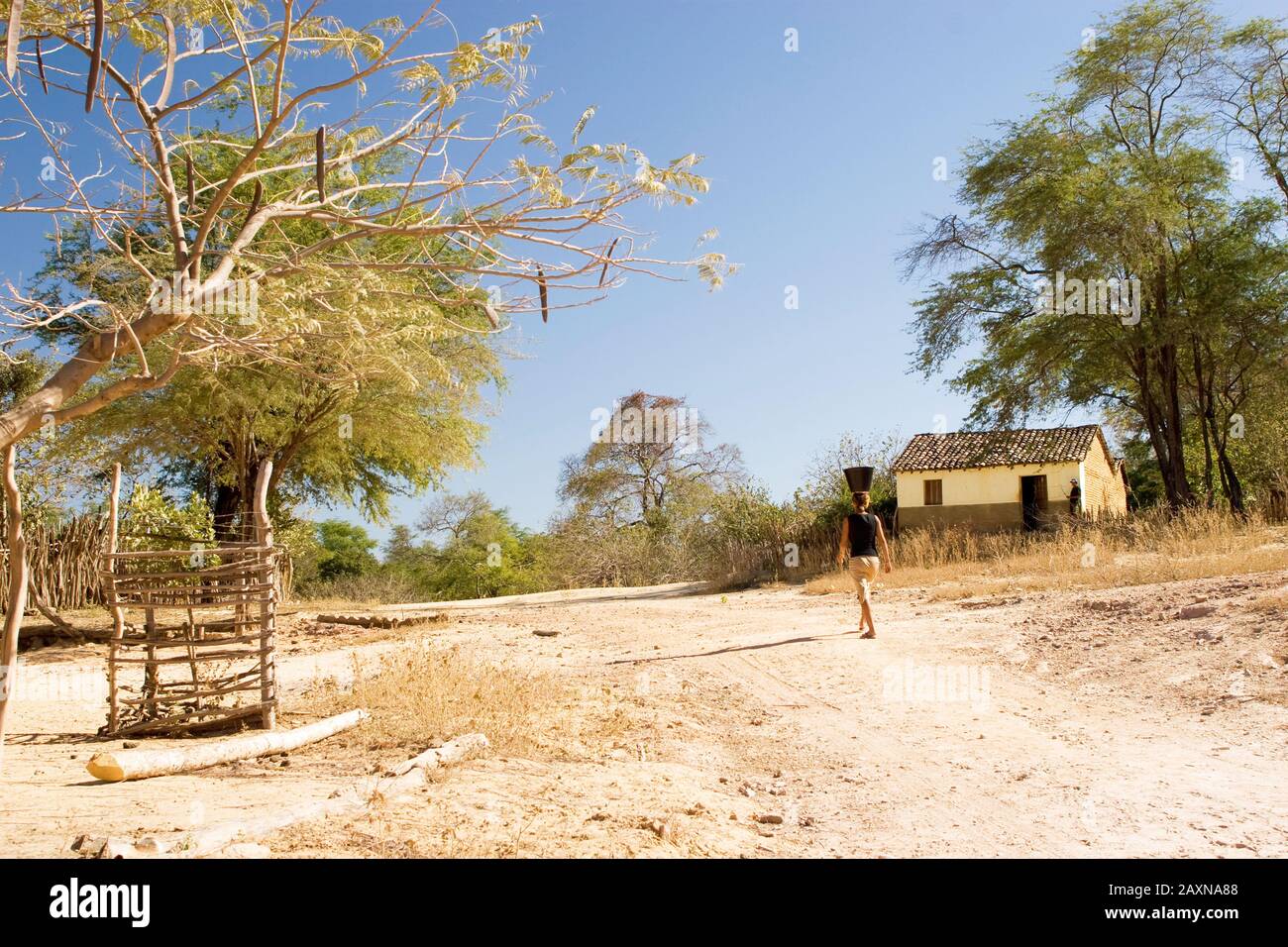 Woman Carrying Water, Caracol, Piauí, Brazil Stock Photo - Alamy