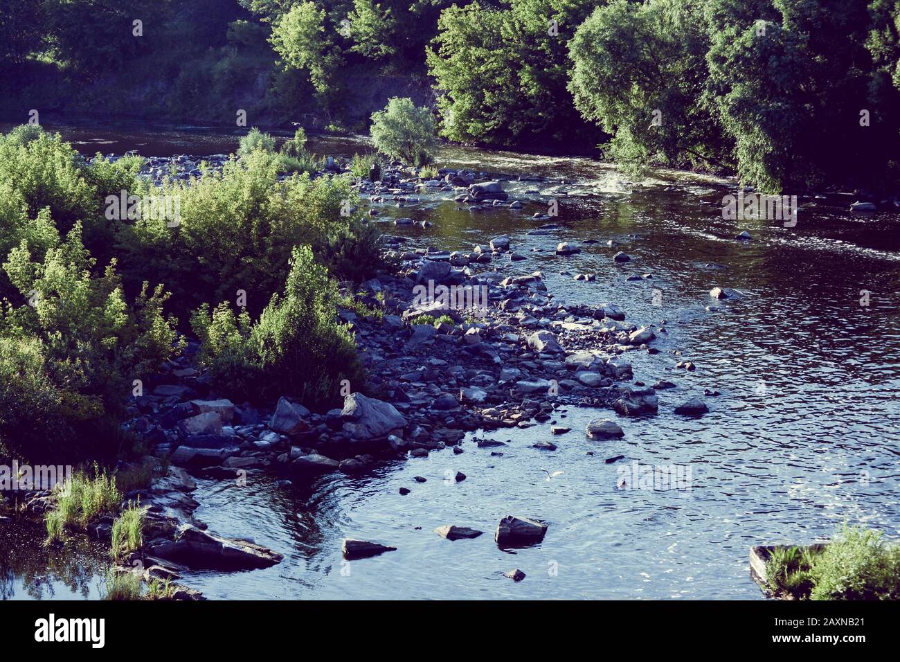 River with rocks and trees, view from above Stock Photo - Alamy