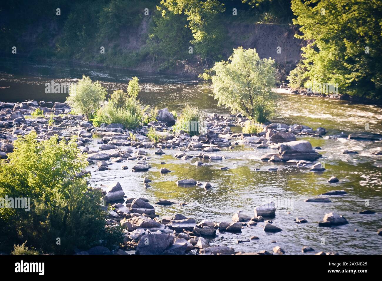 small river with rocky shores and trees, filter Stock Photo - Alamy