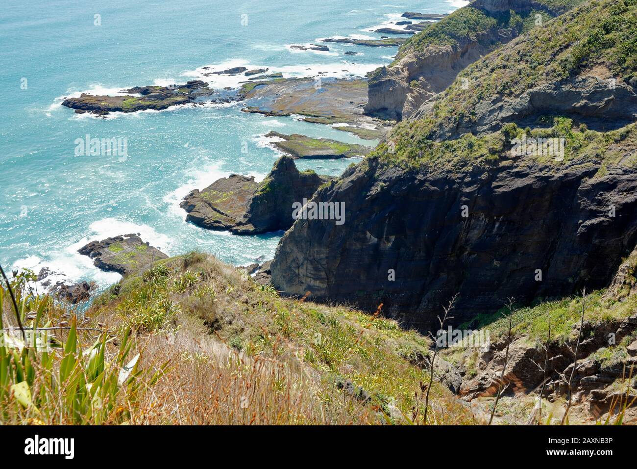 Stunning scenic view of Auckland's wild West Coast from the Te Henga ...