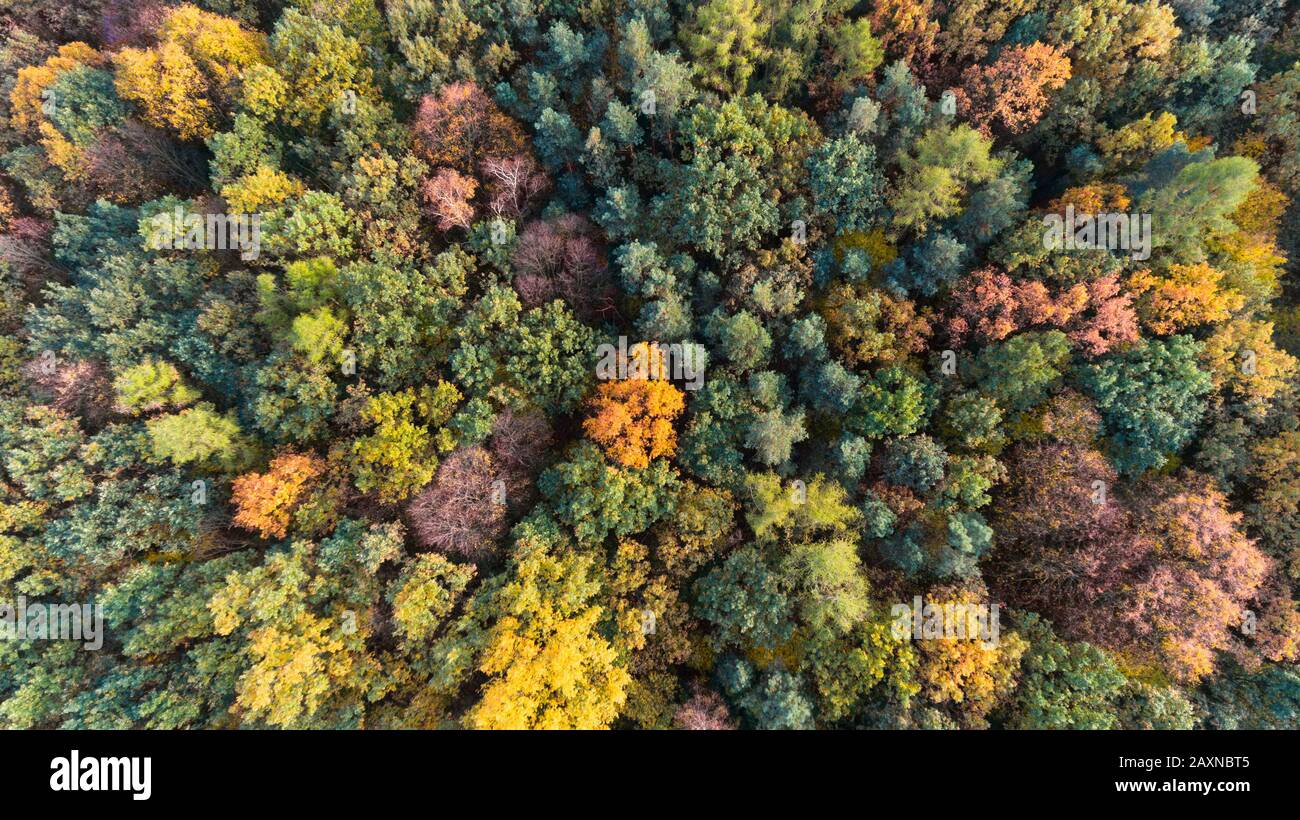 Drone top view hi-res stock photography and images - Alamy