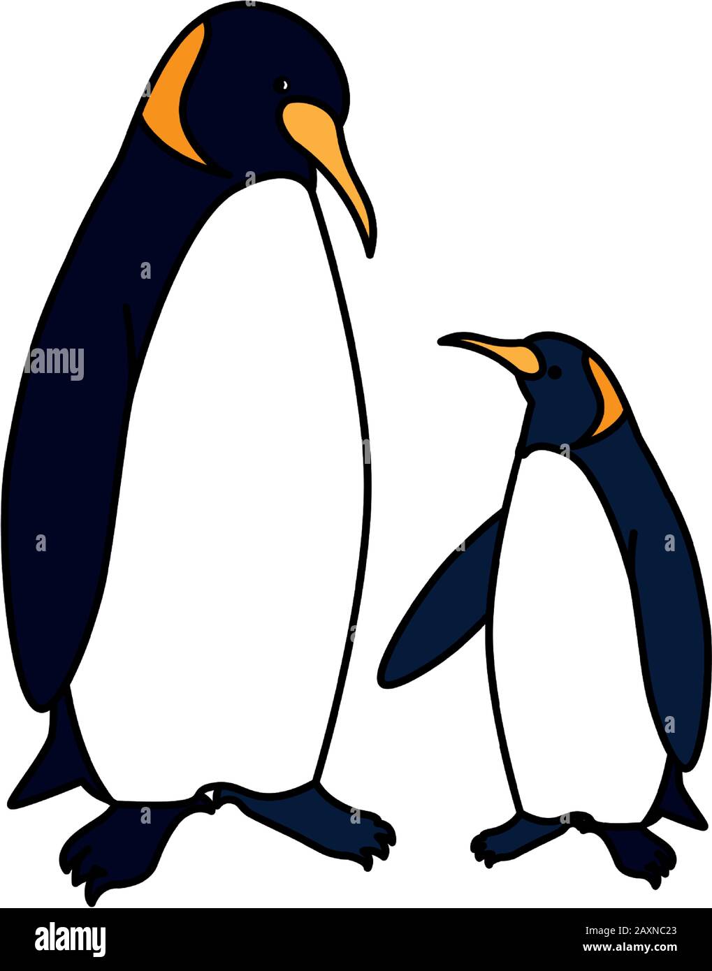 emperor penguins couple on white background vector illustration design ...