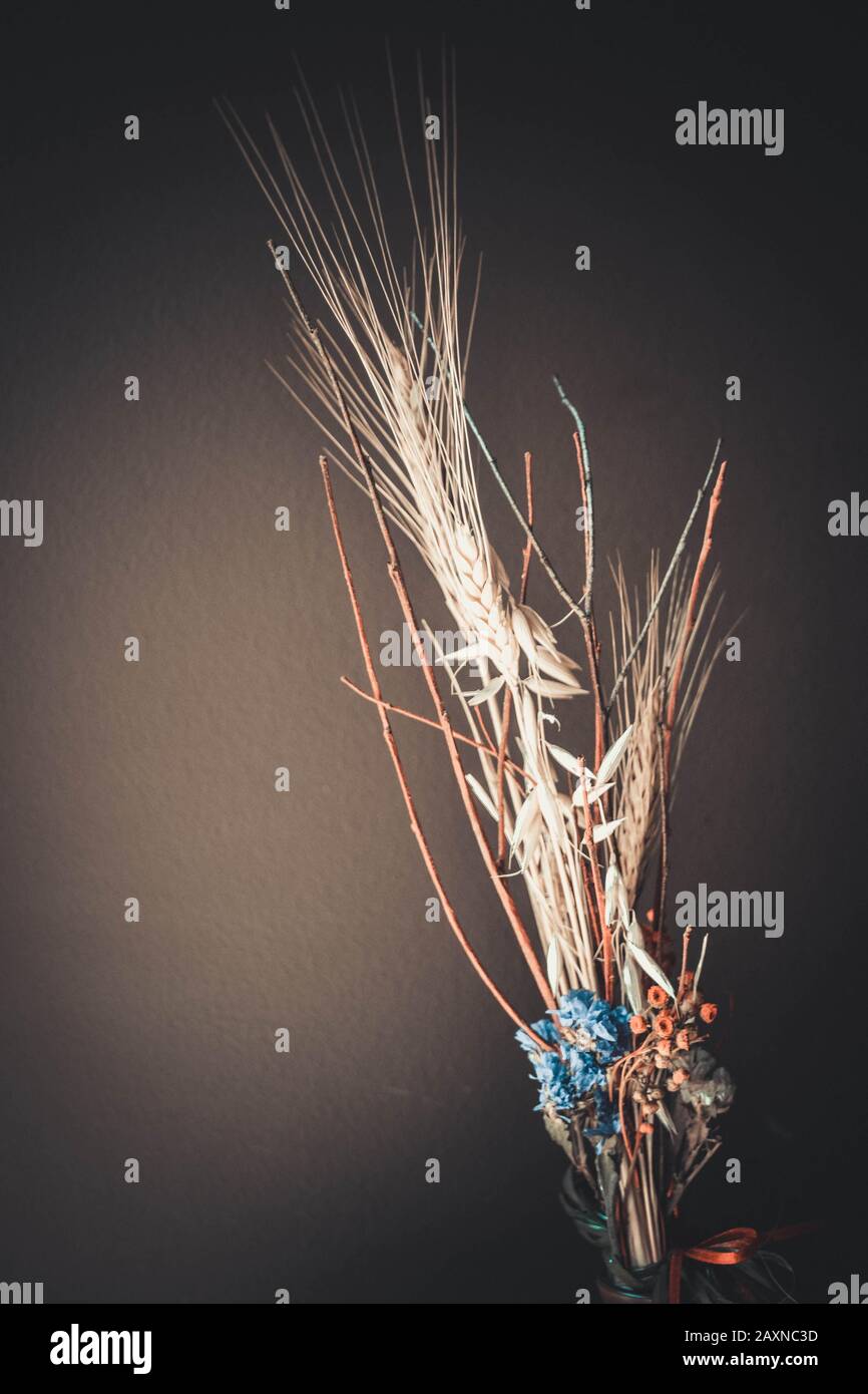 Very bright lighting hi-res stock photography and images - Alamy