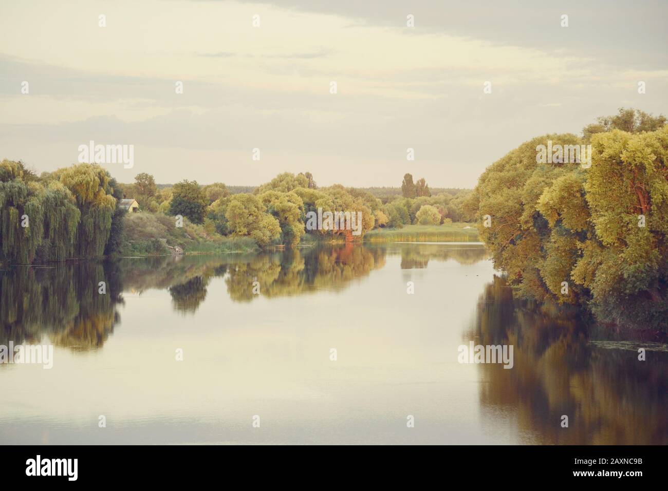 pale landscape river trees in water with reflection European Stock ...