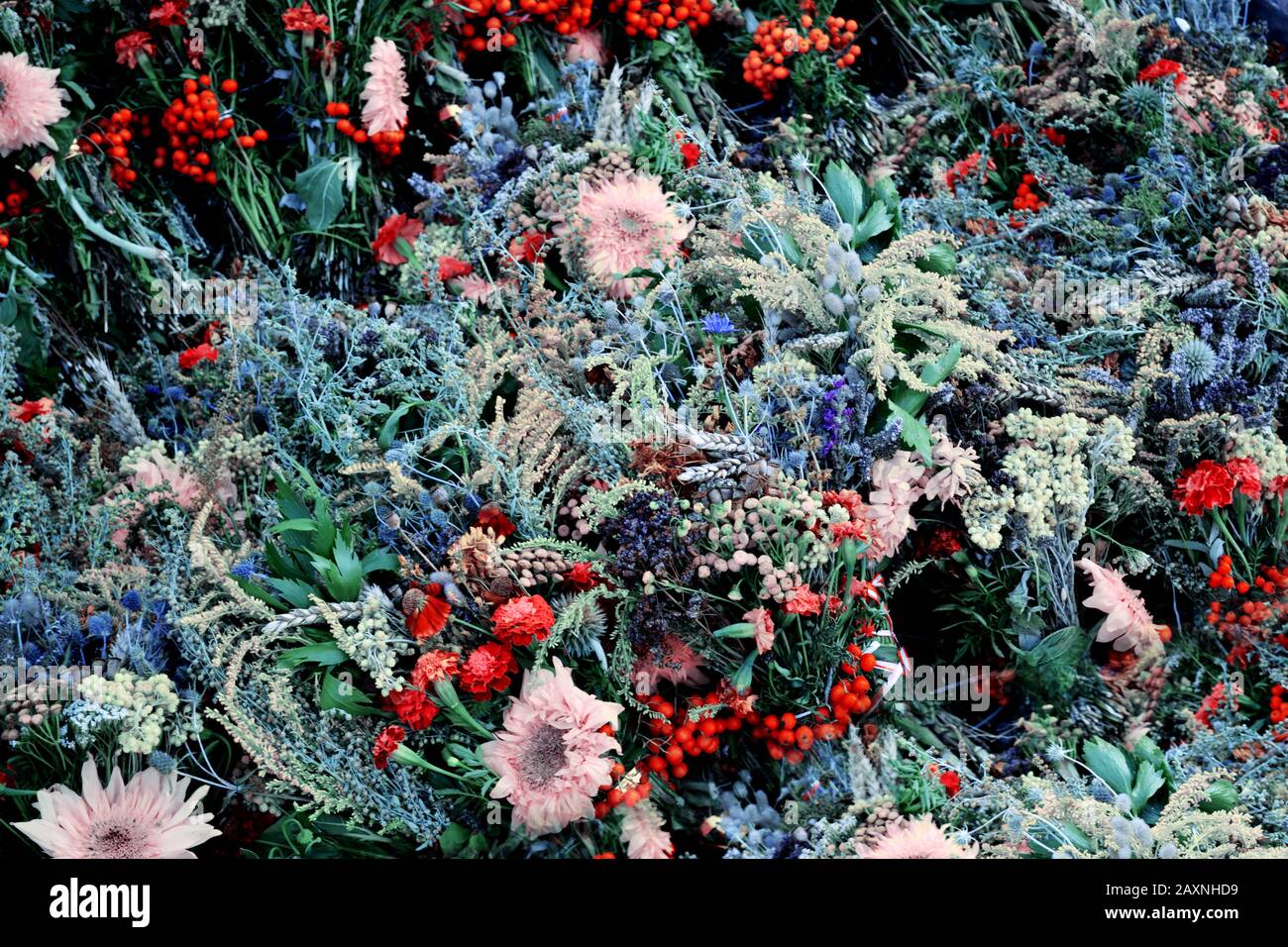 pattern of different blooming flowers of the field, filter Stock Photo ...