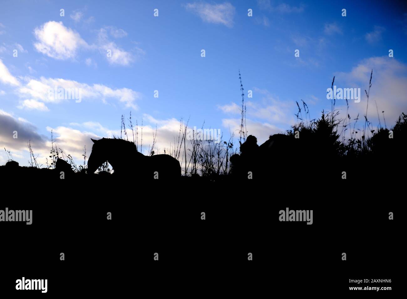 Beamish Museum is an open-air museum located at Beamish, near the town ...