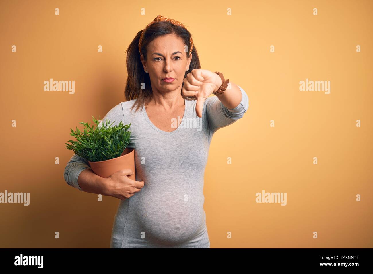 Middle age pregnant woman expecting baby holding plant pot with angry ...