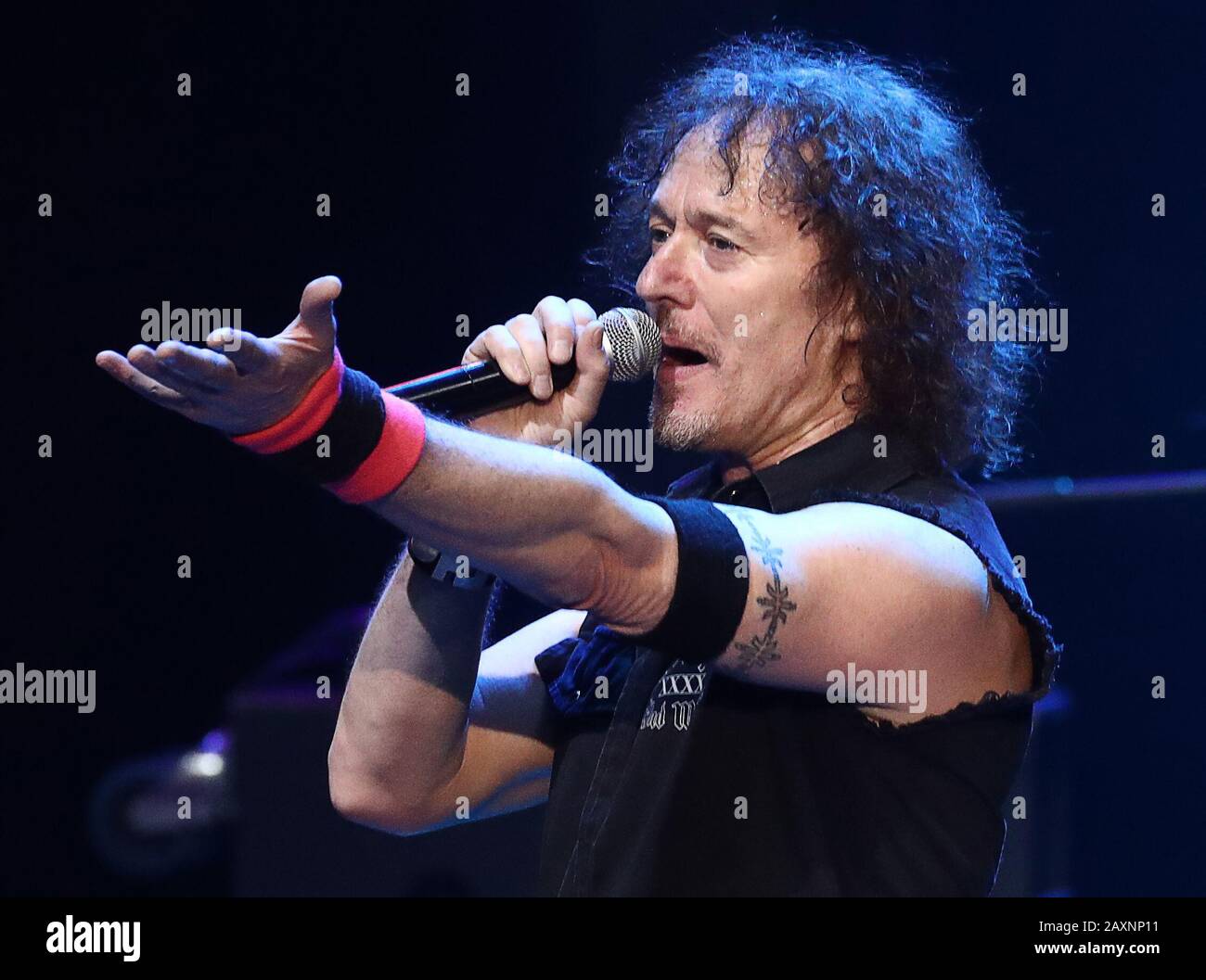 Carl Sentance Musician High Resolution Stock Photography and Images - Alamy