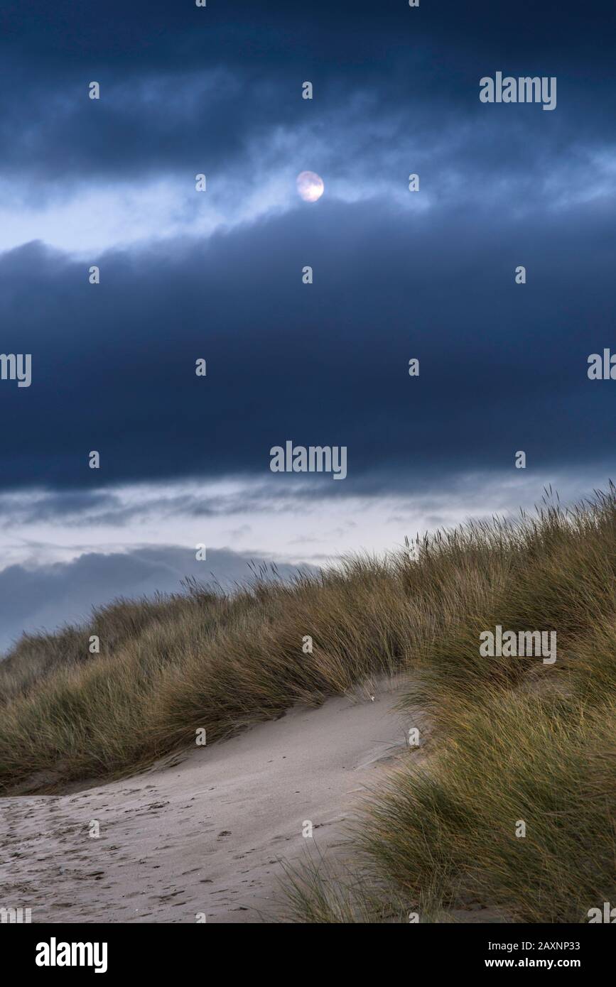 Partly covered moon behind a dune scenery at the North Sea Stock Photo ...