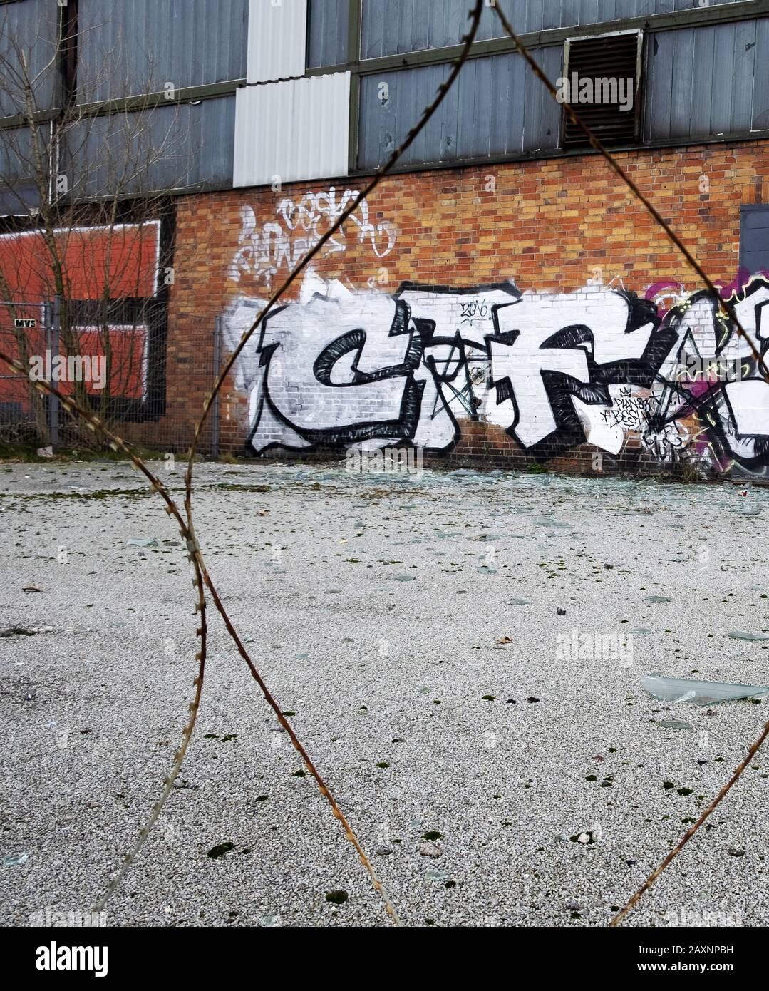 Fence, barbed wire, backyard, graffiti, peeling off colour on a wall ...
