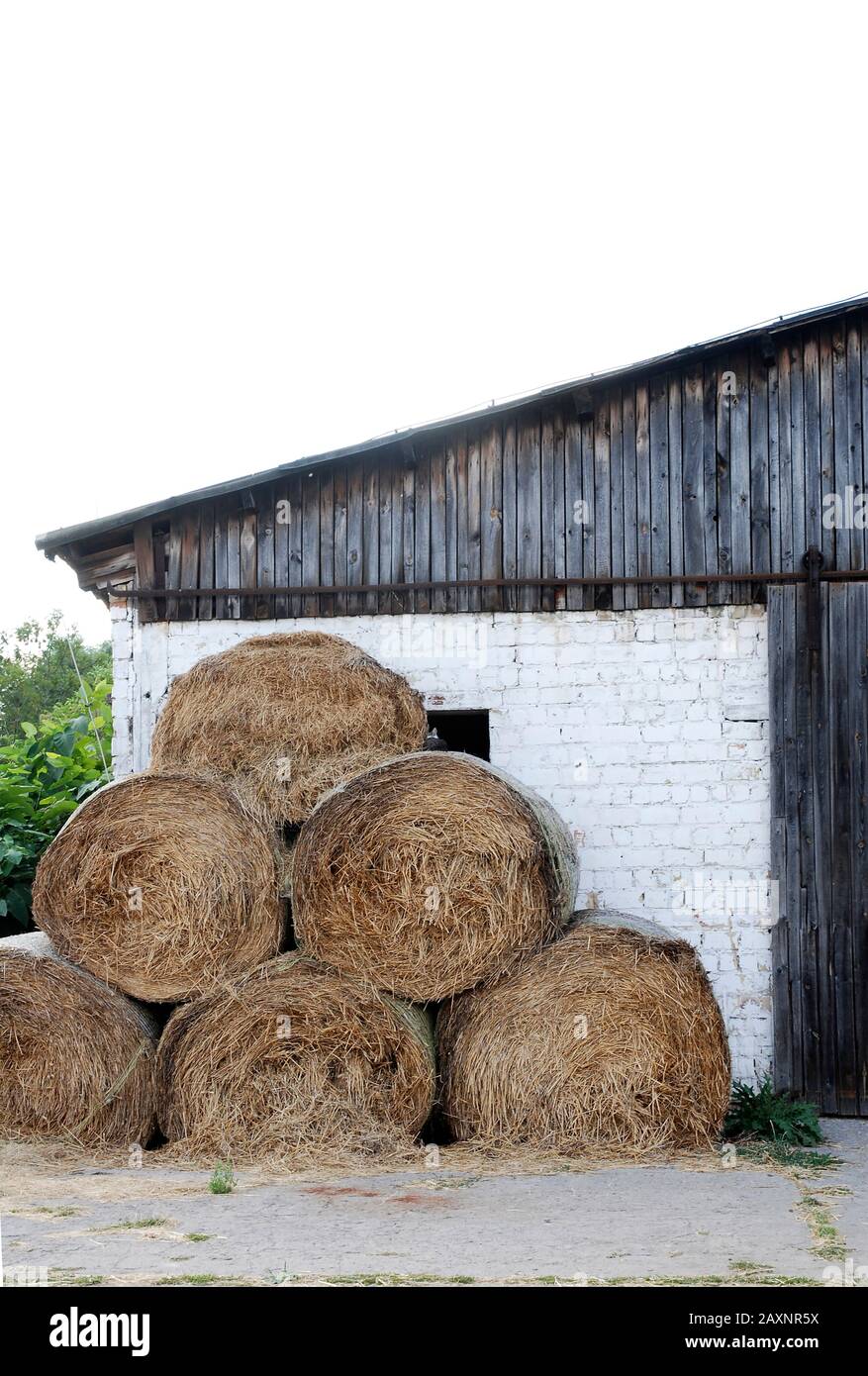 Straw bales, straw, straw rolling, barn Stock Photo - Alamy
