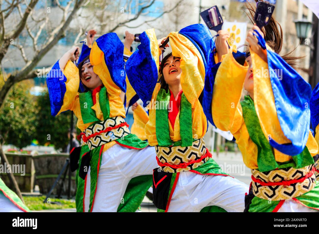 Close up, three young Japanese women, dancing with a yosakoi dance ...
