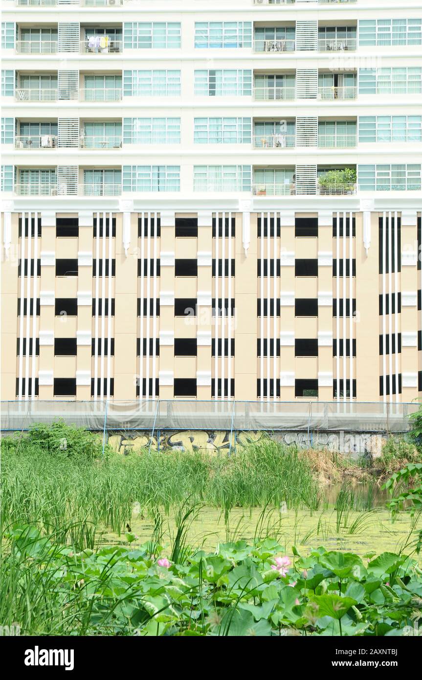 High rise, house, window, green, city, live, social housing ...