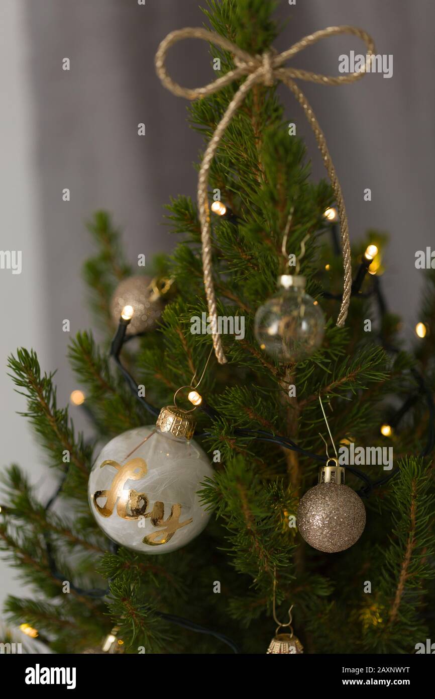 Christmas tree, Picea glauca conica, tree point, Christmas tree ball ...