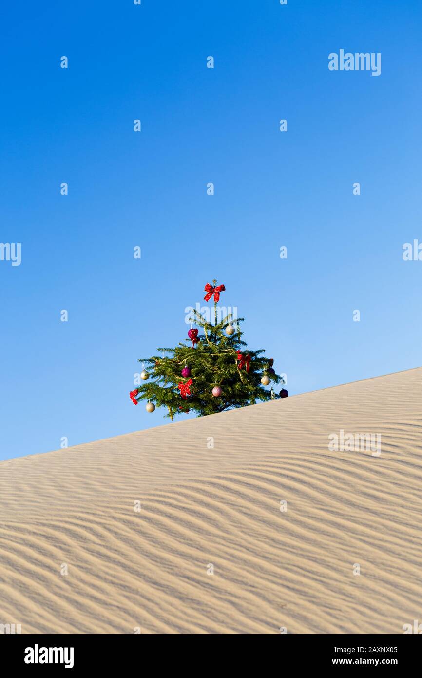 Christmas tree, desert, decoration Stock Photo - Alamy