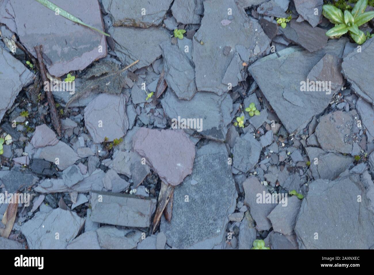 Top view of ground covered with concrete rubble Stock Photo - Alamy