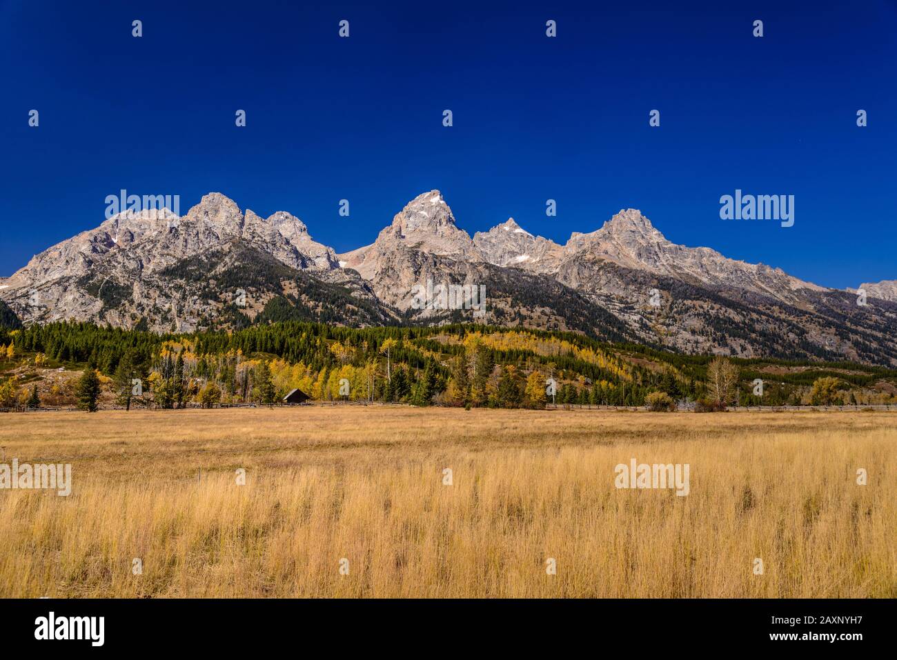 The USA, Wyoming, Grand Teton Nationwide park, mosses, Climbers ranch ...