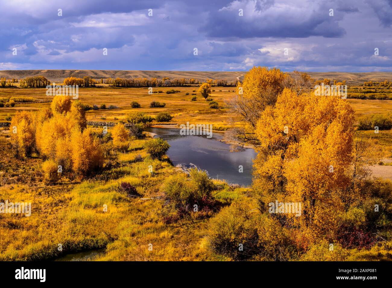 The USA, Wyoming, Sublette county, Boulder, Green River Valley Stock ...