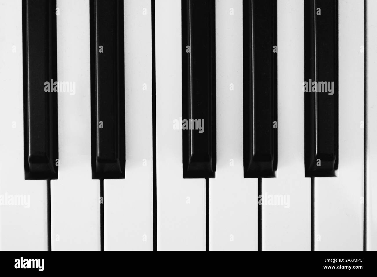 piano keys in black and white, close up of a keyboard Stock Photo - Alamy