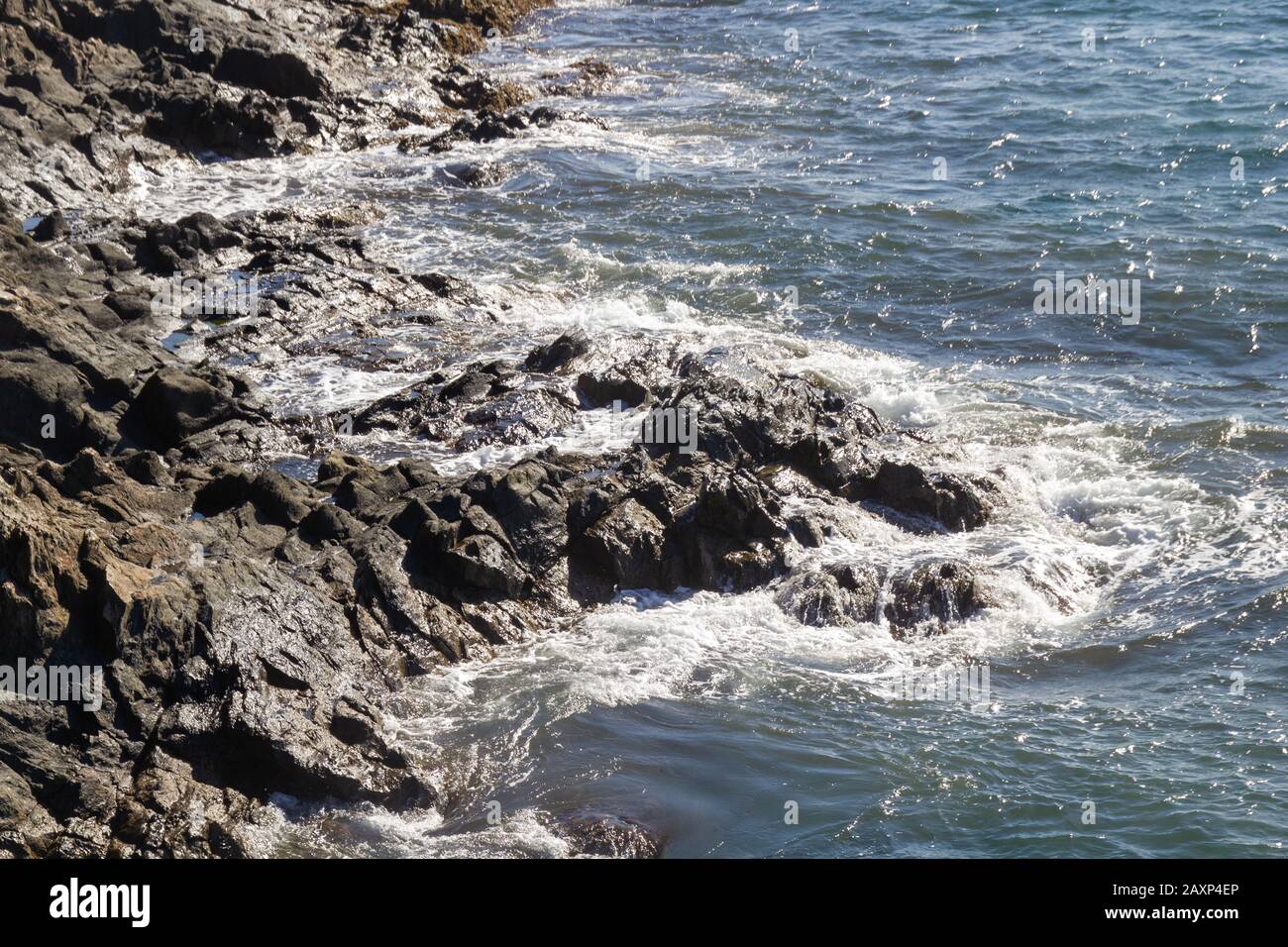 Foam fair hi-res stock photography and images - Alamy