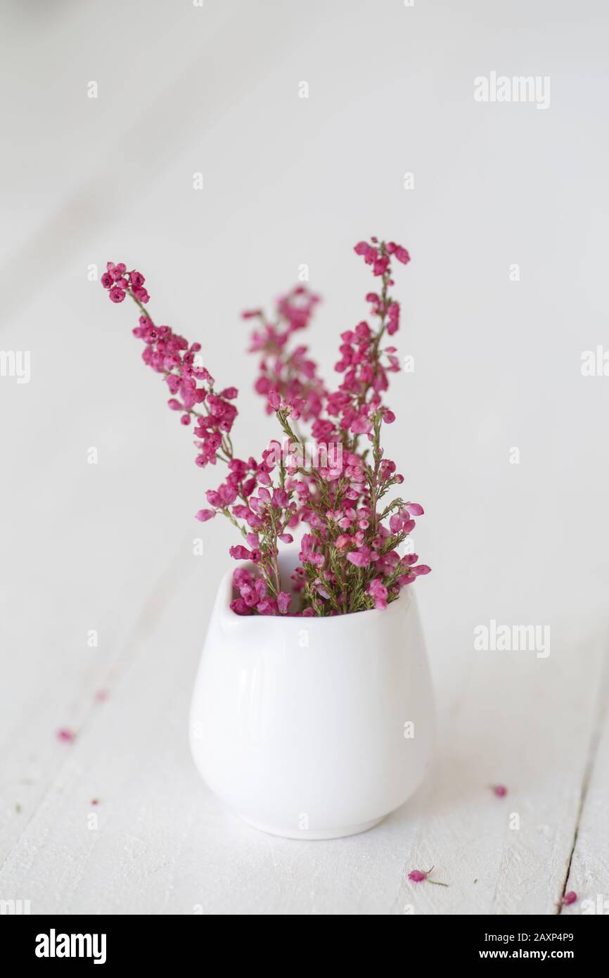 Decoration: Heather twigs in a small milk jug Stock Photo - Alamy