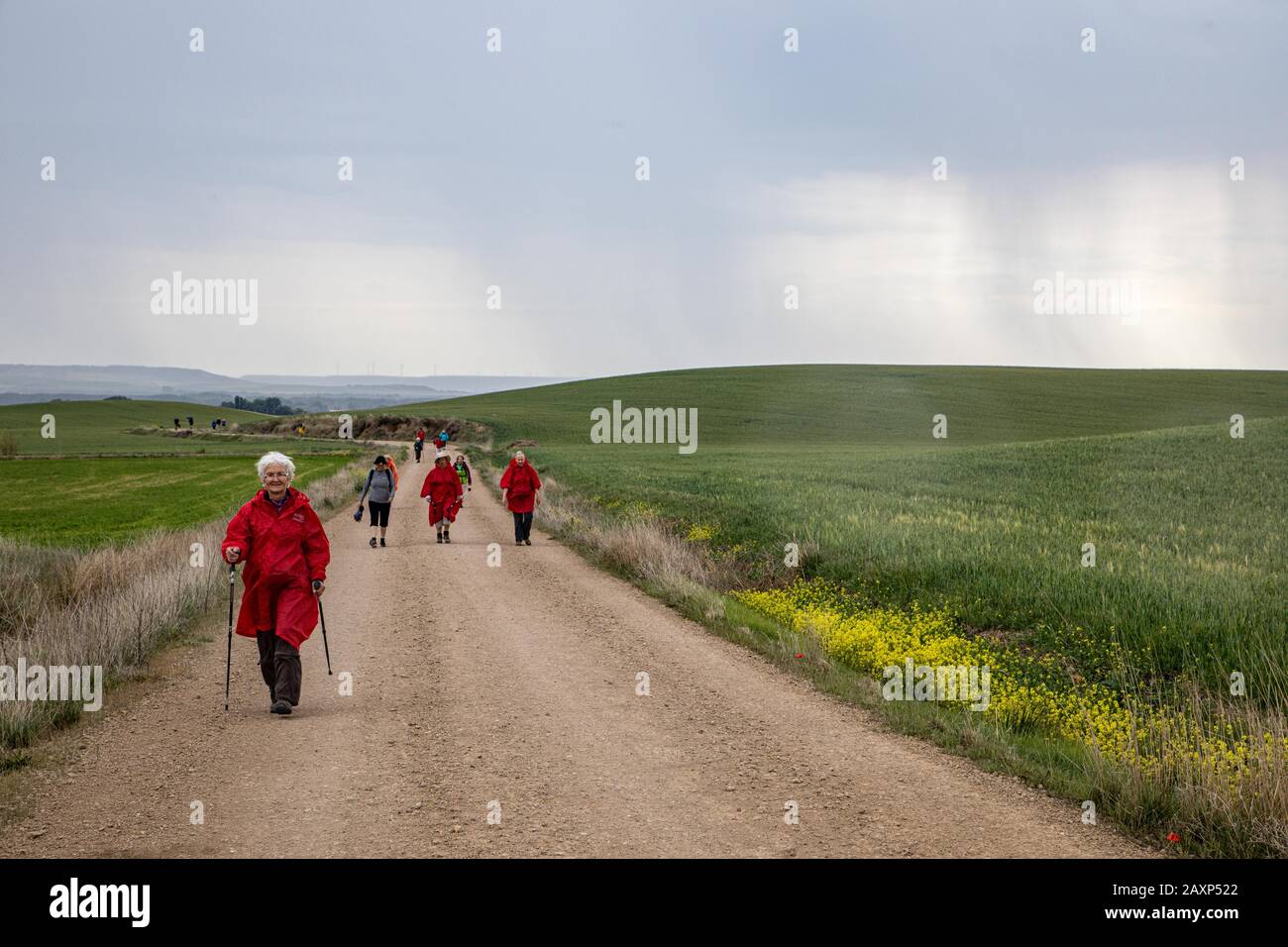 Spring rain on the Meseta does not deter the pilgrims from walking the ...