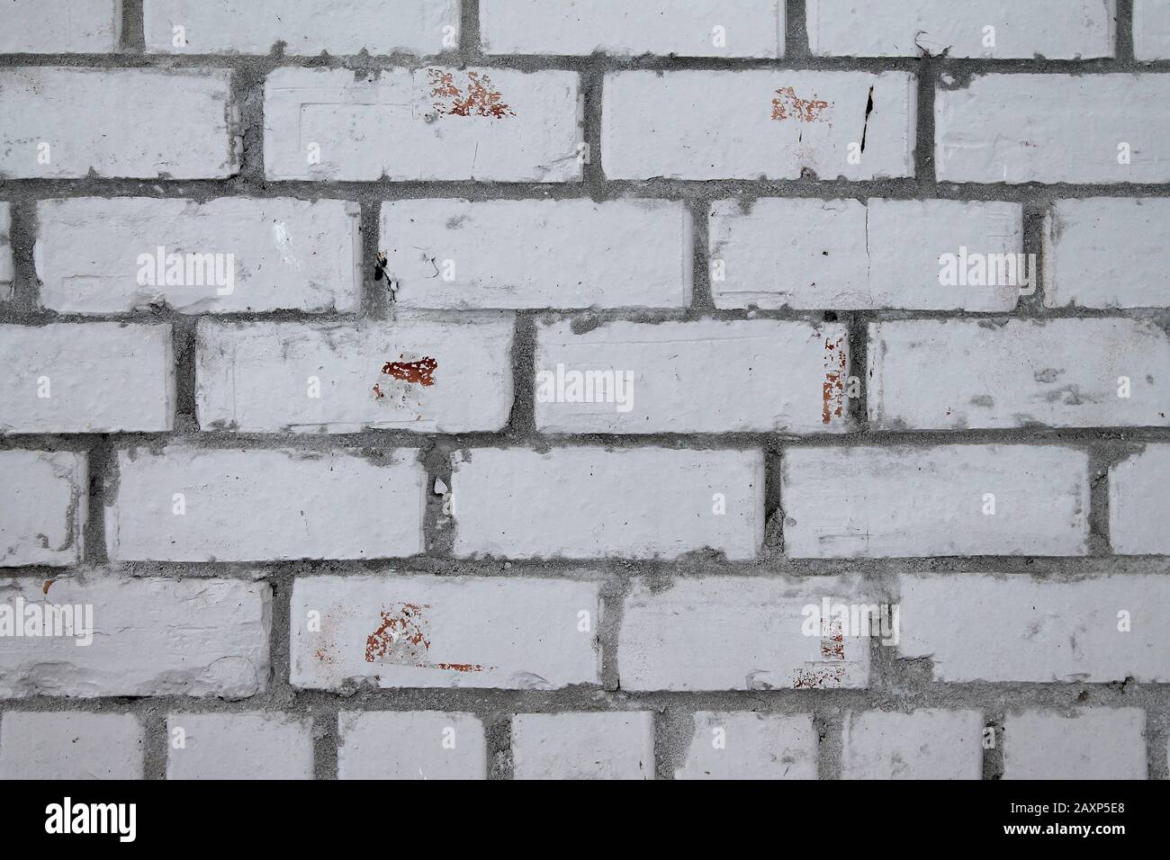 Retro brick wall old texture, great design for any purposes. Gray ...