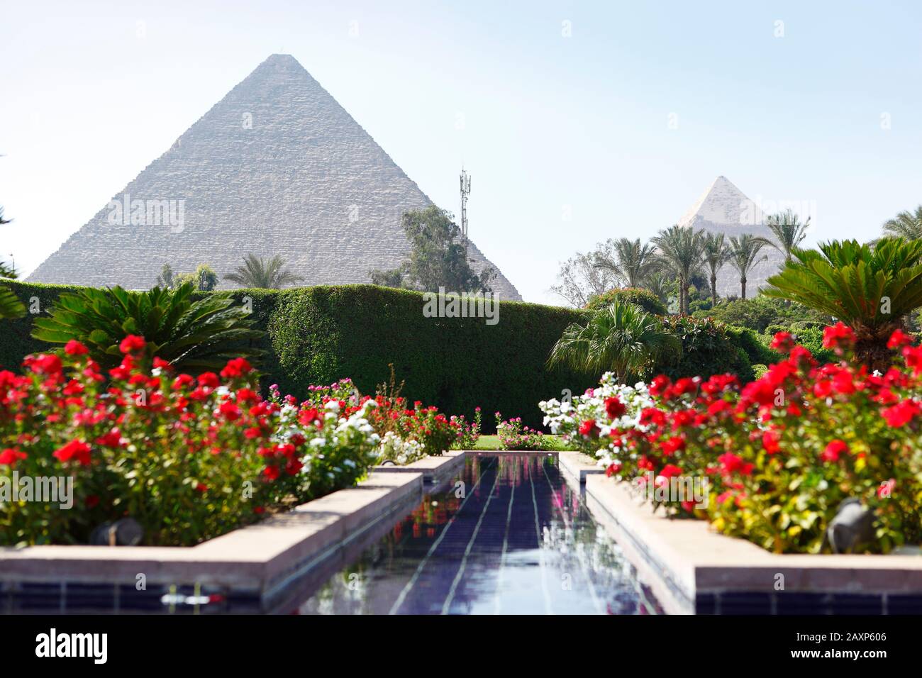 Pyramid Gardens Egypt