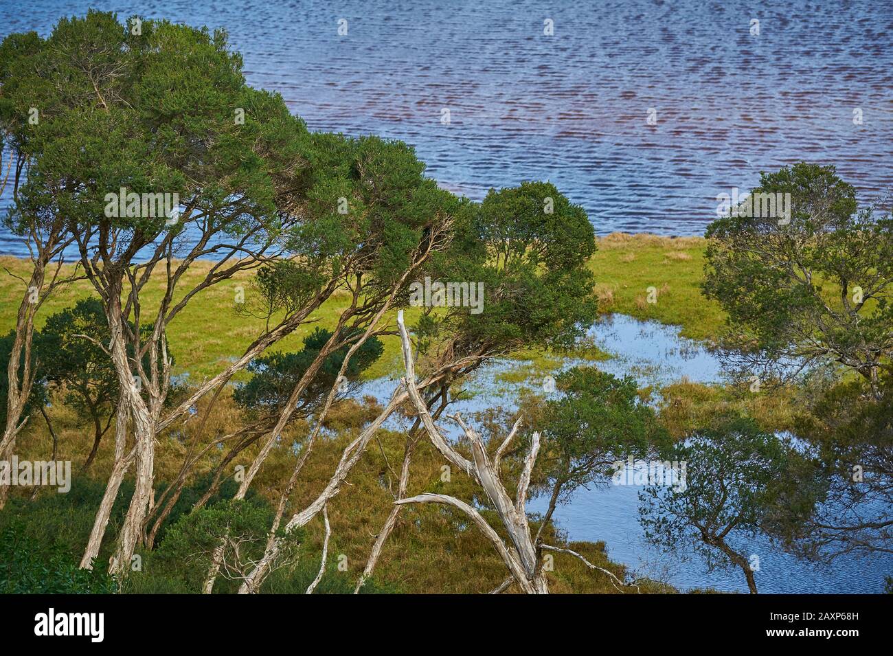 Landscape, Tidal River, Wilsons Promontory National Park, Victoria ...